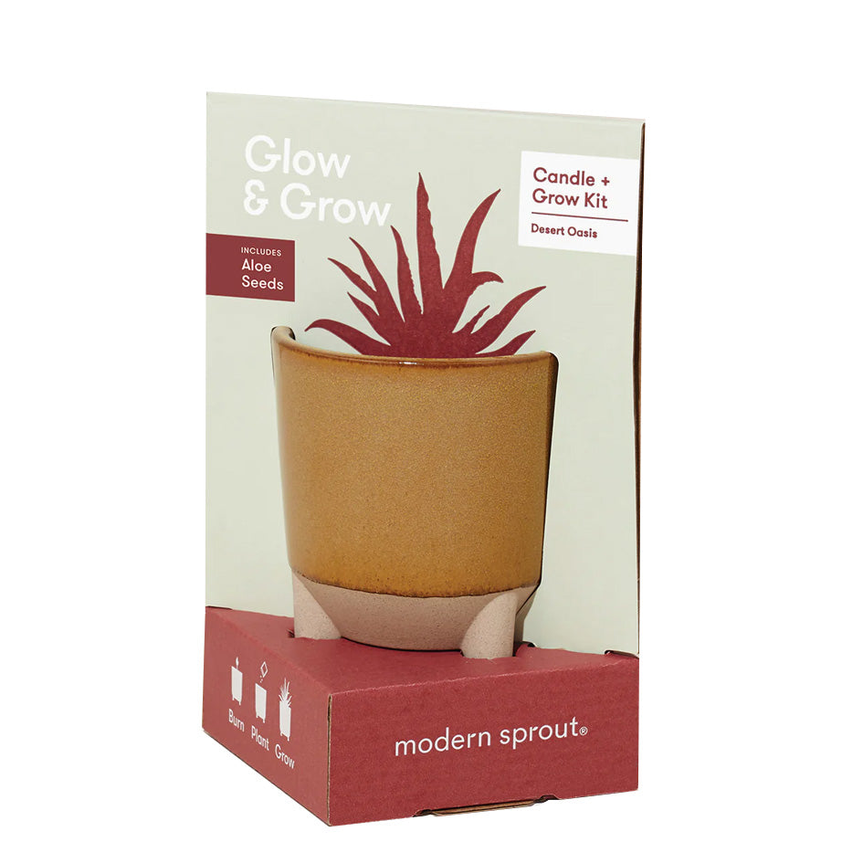 Modern Sprout Glow & Grow Kit