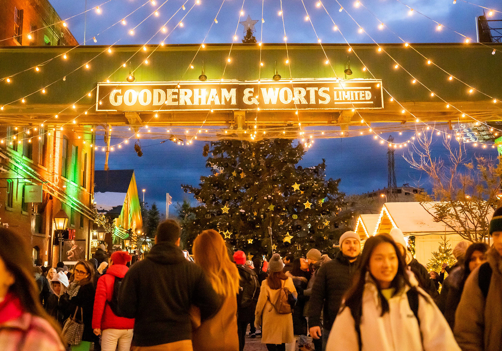 Bergo Designs | Decor | Gifts | Unique Designs